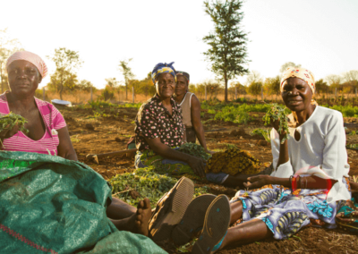 TREEt Yourself | Greenpop