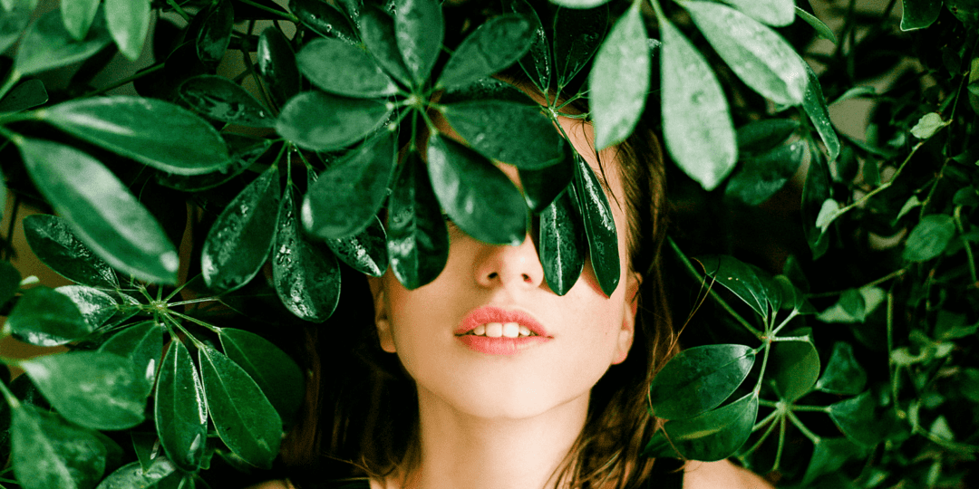 10 Environmental Benefits of Planting a Tree - Greenpop