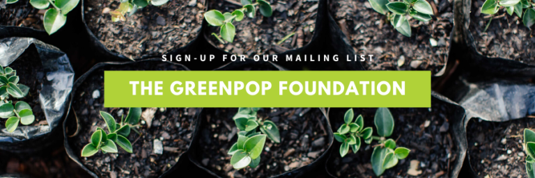 Greenpop - Planting Trees, Greening Communities & Educating for Action