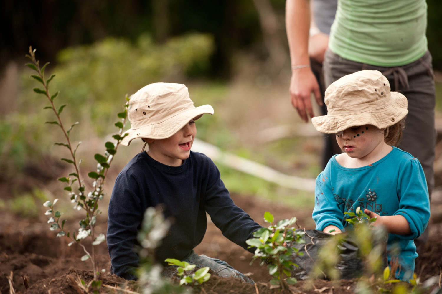 How To: Teach Children About the Environment - Greenpop