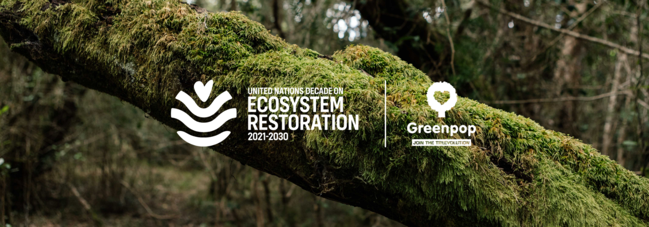 United Nations Decade on Ecosystem Restoration - Greenpop