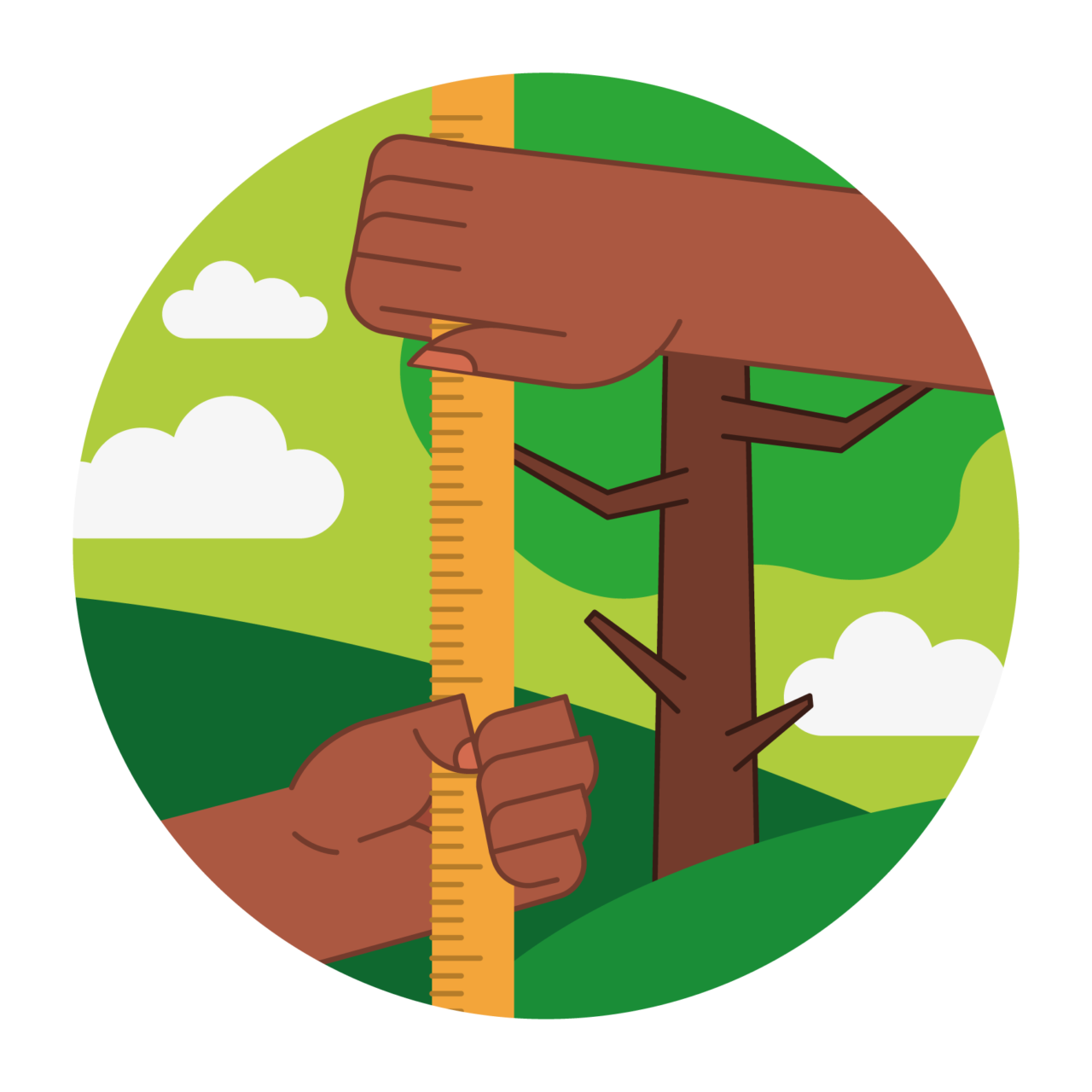 A Tree is More Than a Number - Greenpop