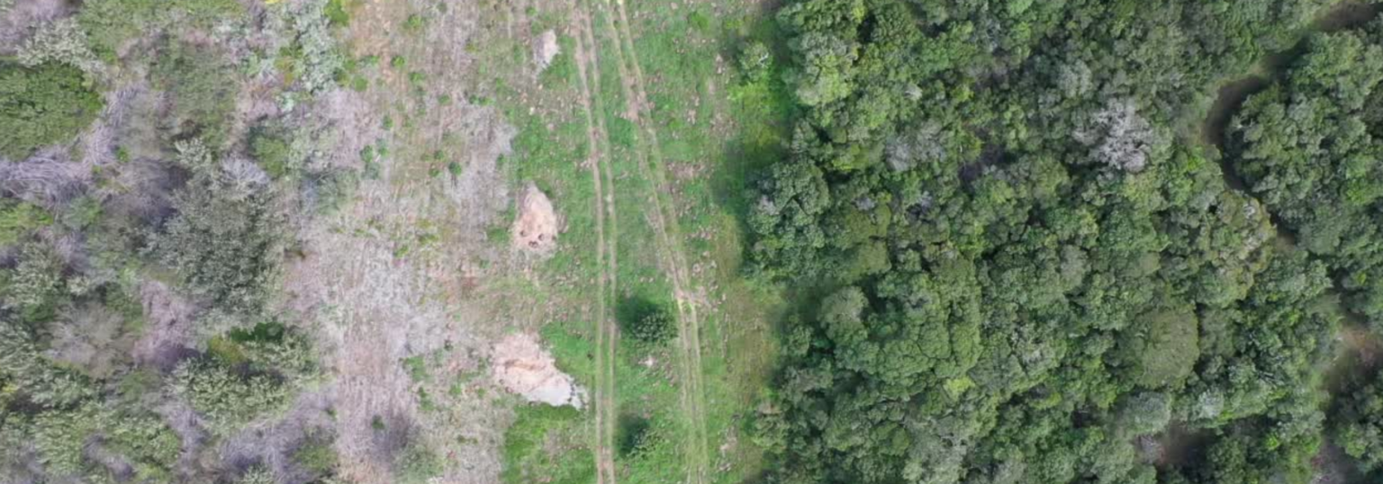 Greenpop - Planting Trees, Greening Communities & Educating for Action