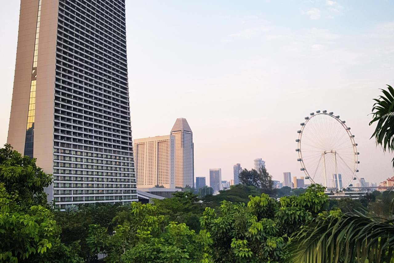 What is Urban Greening, and does it make a difference? - Greenpop