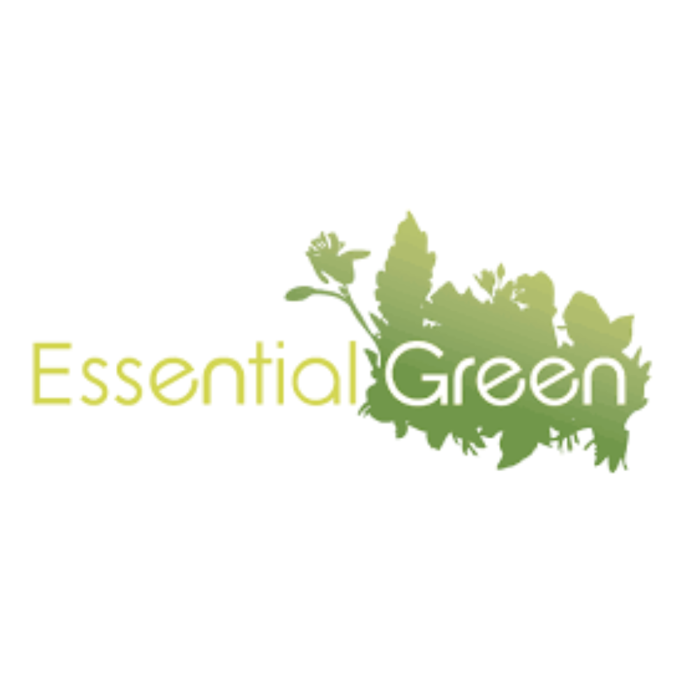 Reforest Fest - Greenpop