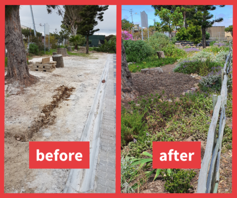 Gardens For Good - Greenpop