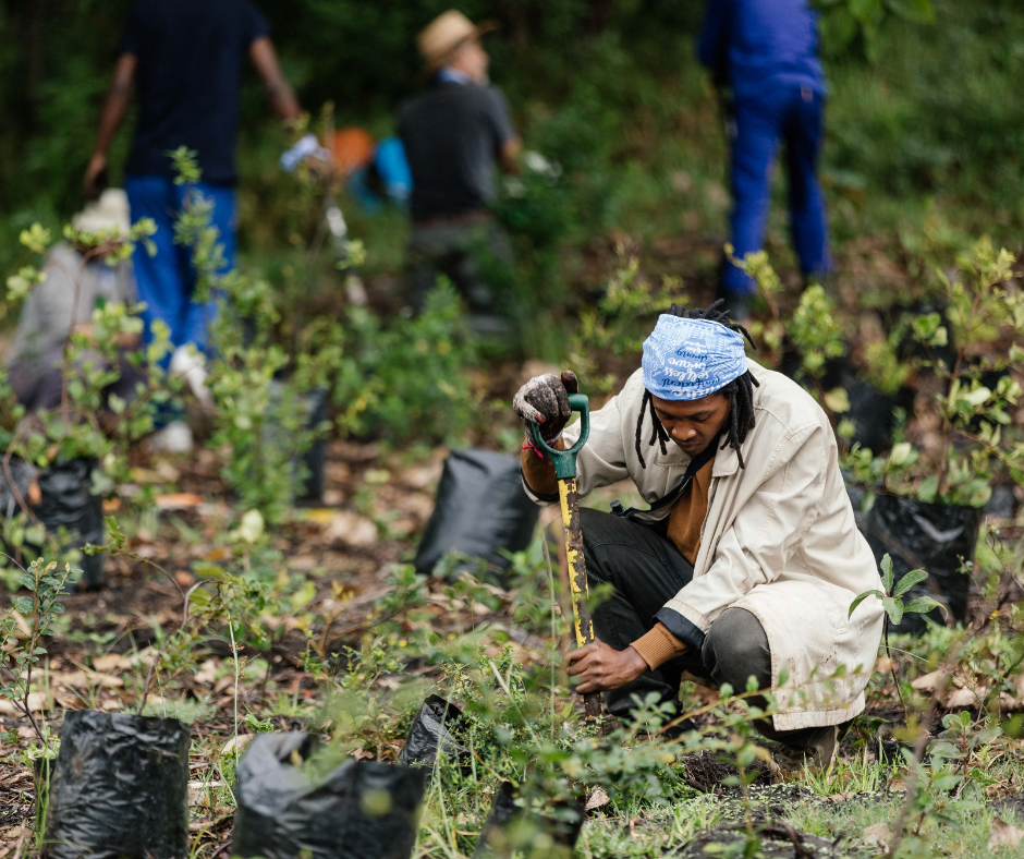 Get Involved - Get Active | Greenpop