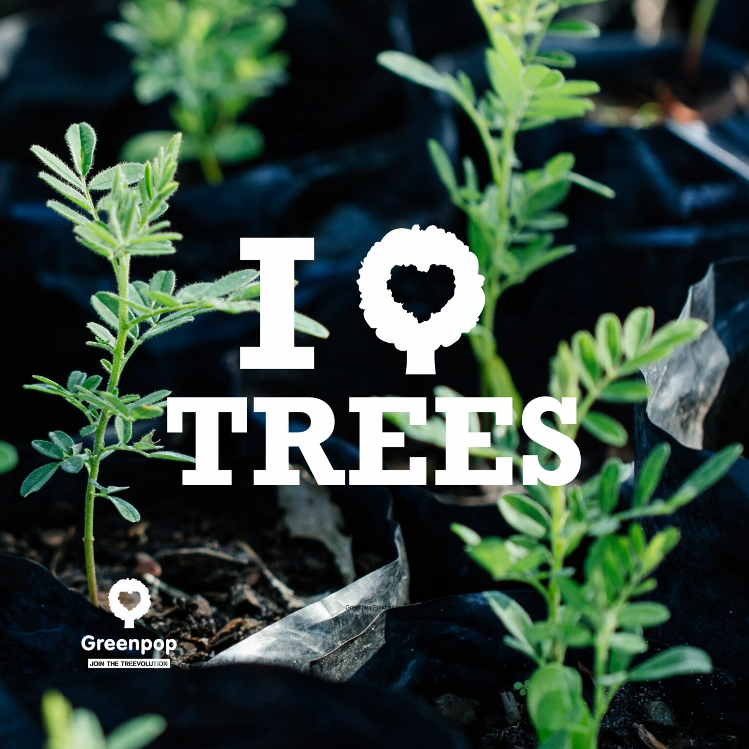 Downloads | Greenpop