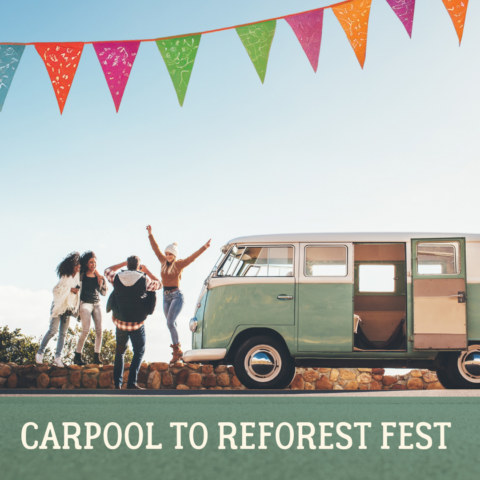 Reforest Fest - Greenpop